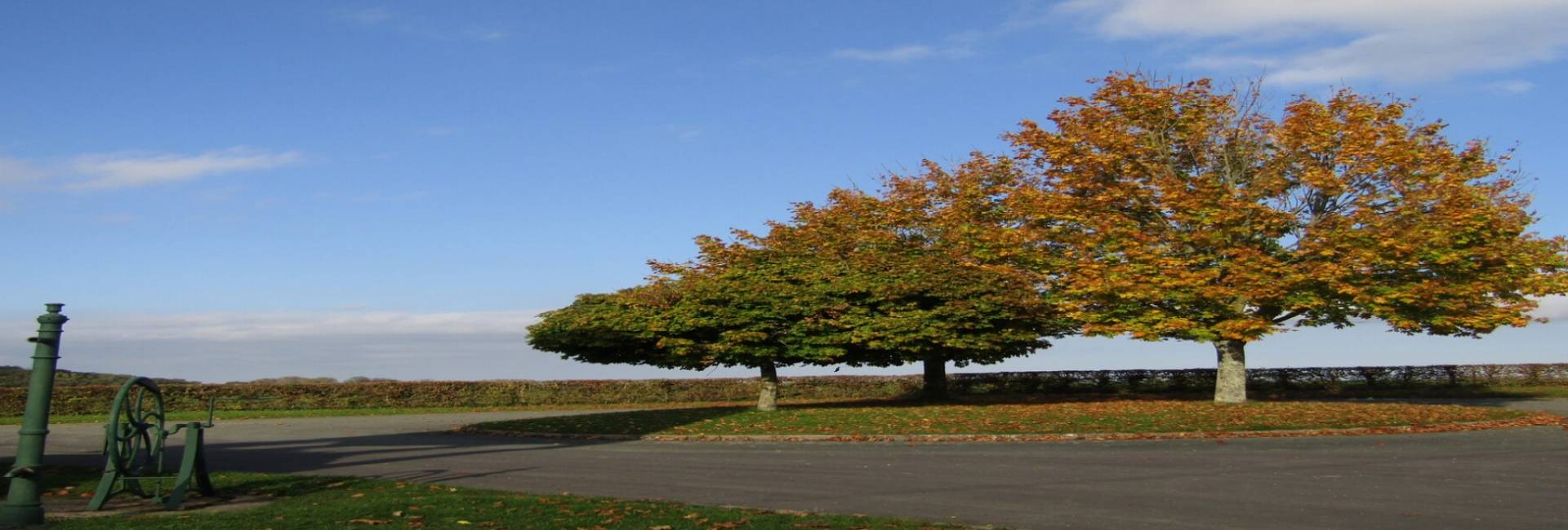 Accueil - Ville de Dammarie