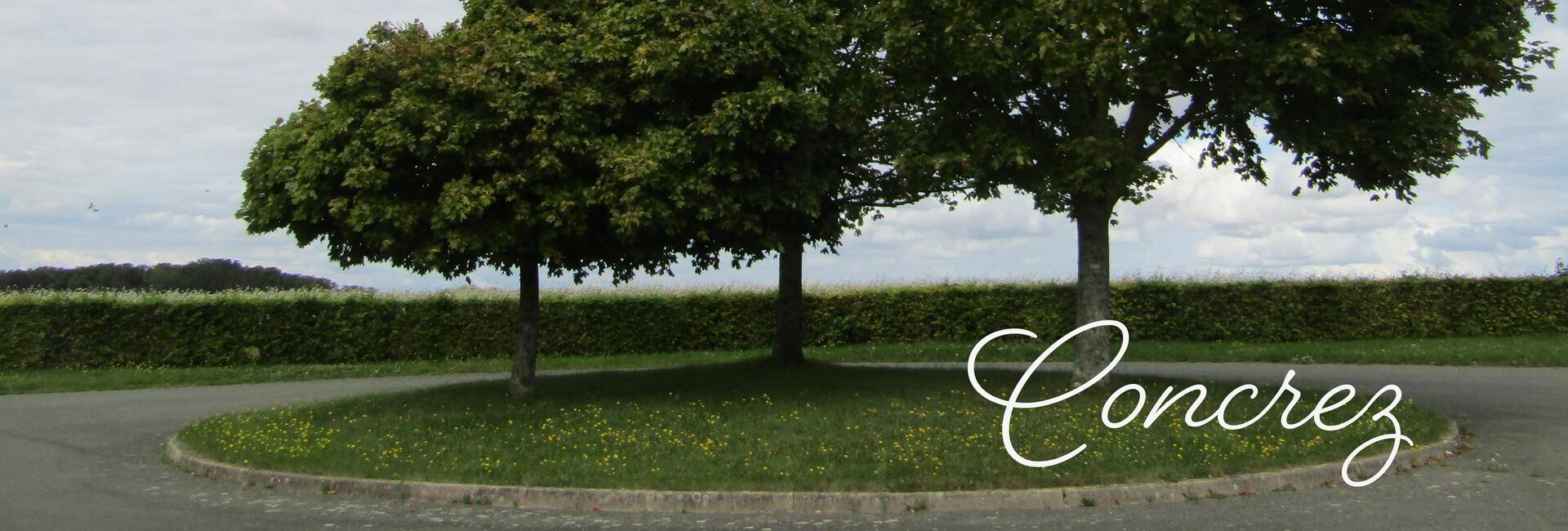Accueil - Ville de Dammarie