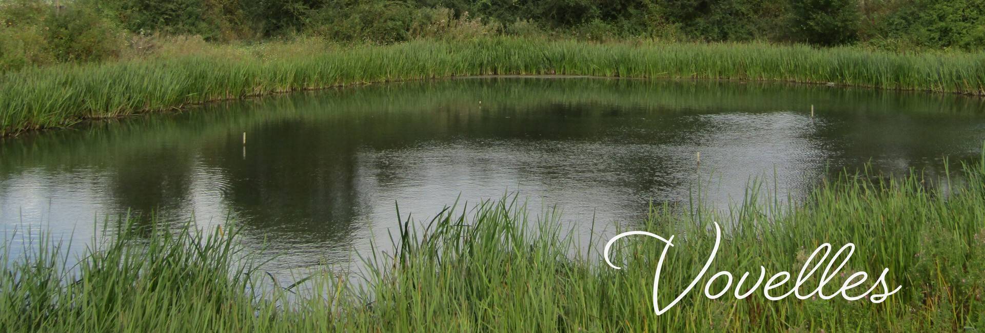 Accueil - Ville de Dammarie